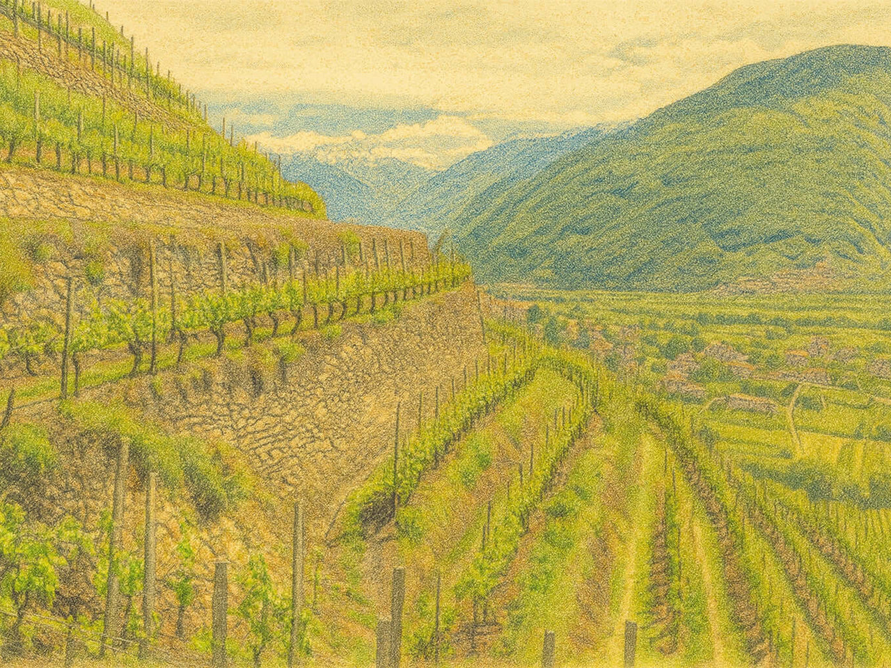 Valtellina: Italy's Alpine Wine Region