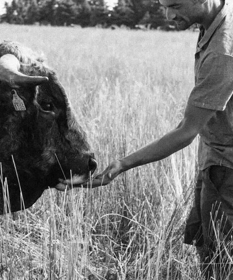 Best Sellers • Buy Natural Wine Online from Primal Wine